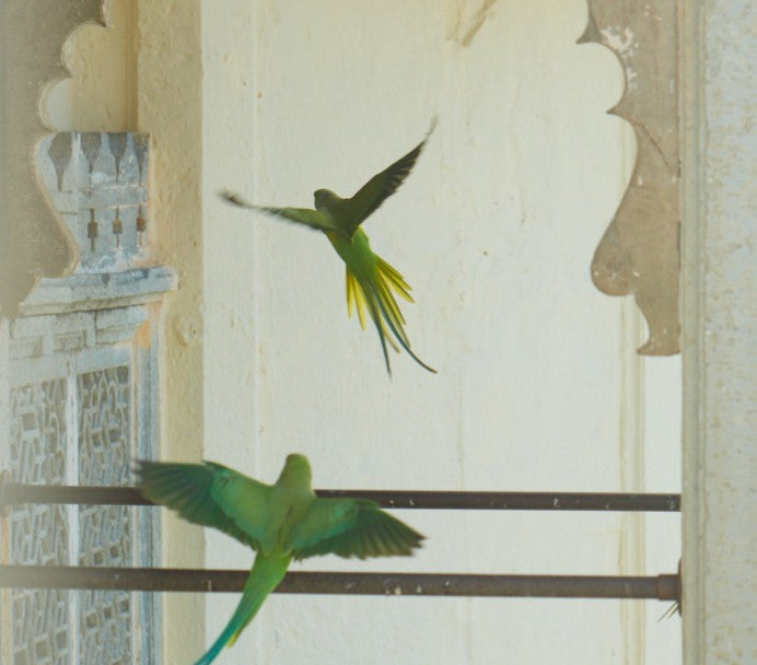 Vedic Astrology (Jyotish): What Is It and How It Is Different from Wes ...